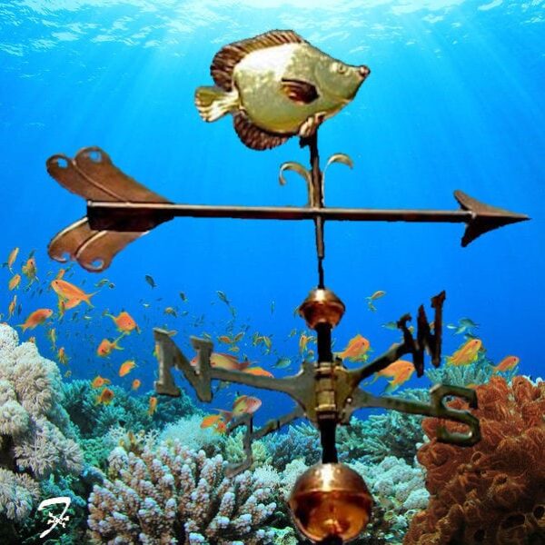 Tropical Fish Weathervane* - Ferro Weathervanes